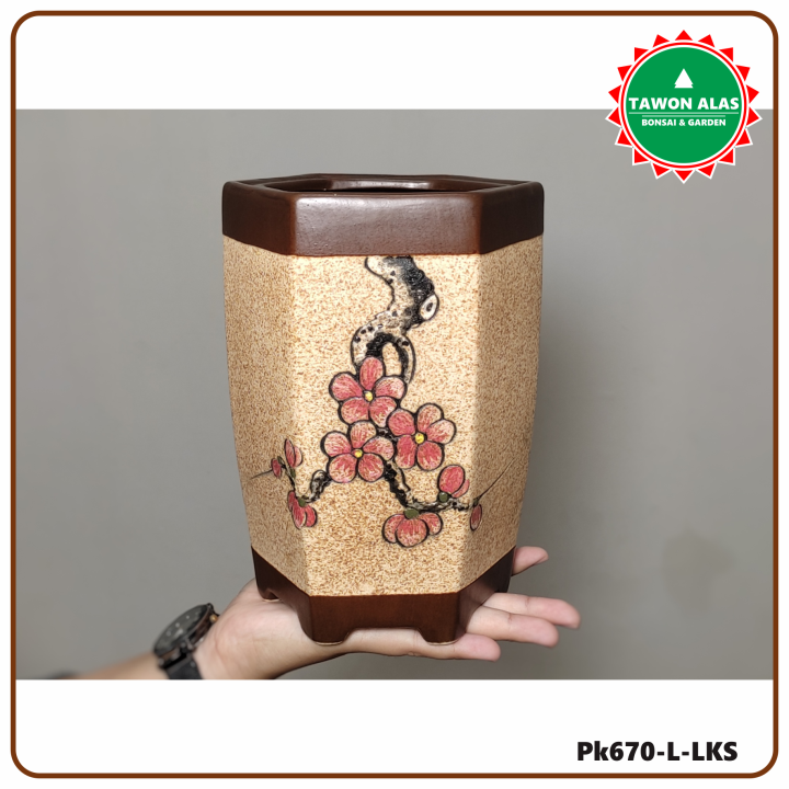 Pot Bonsai Keramik Segi Enam Tinggi | Lazada Indonesia