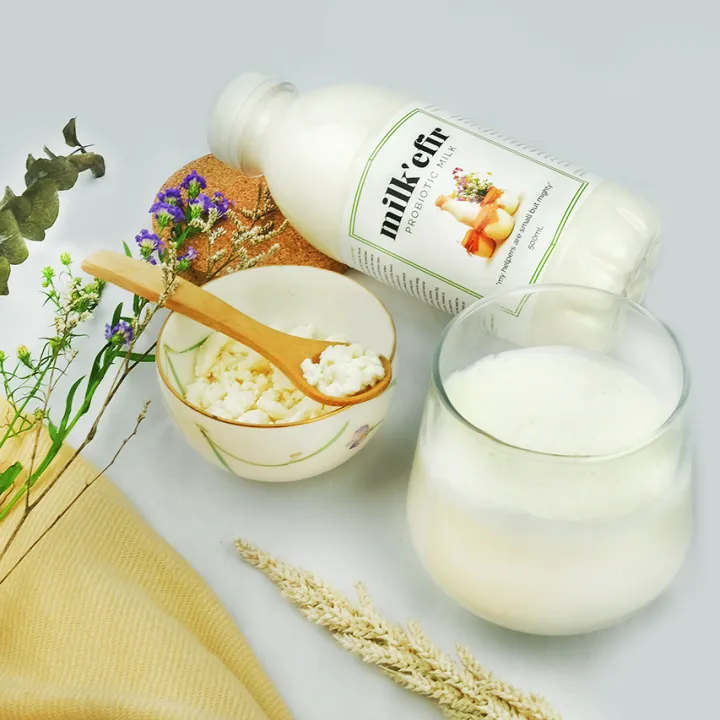 Milk Kefir (500ml Unflavored) | Lazada PH