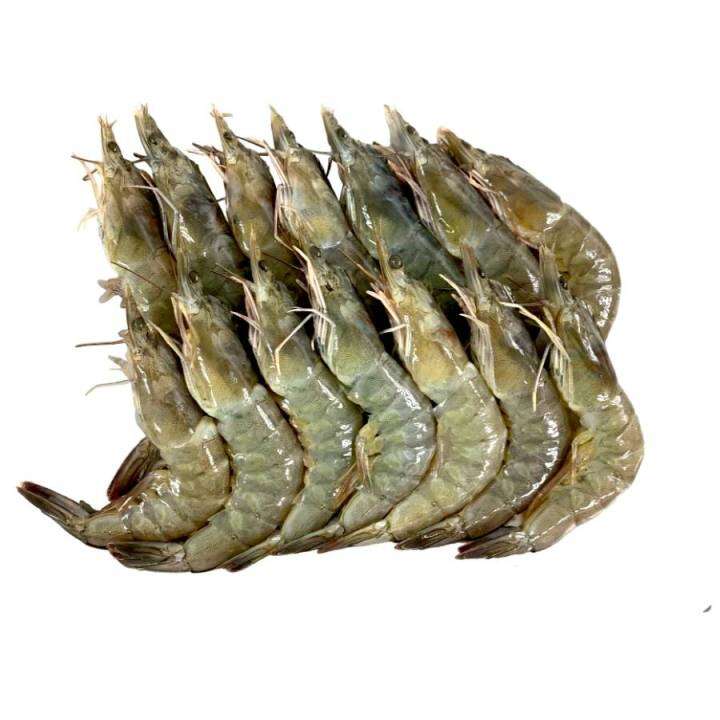 Frozen White Shrimp "Suahe" Medium (450-500g) | Lazada PH