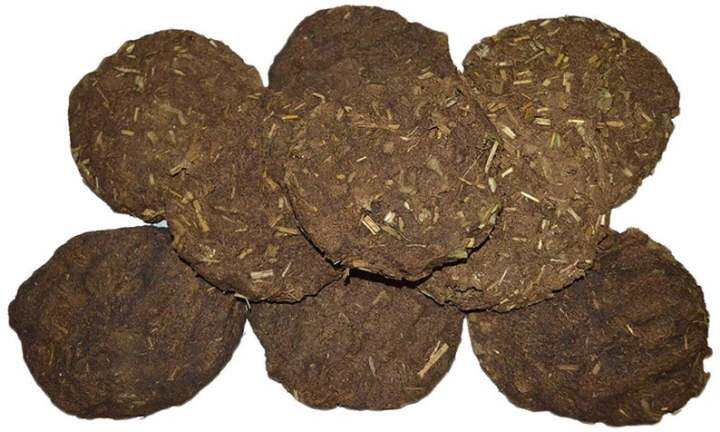 Organic Homemade Varathi Pure Cow Dung Cake (5pcs Pack) for Hawan ...