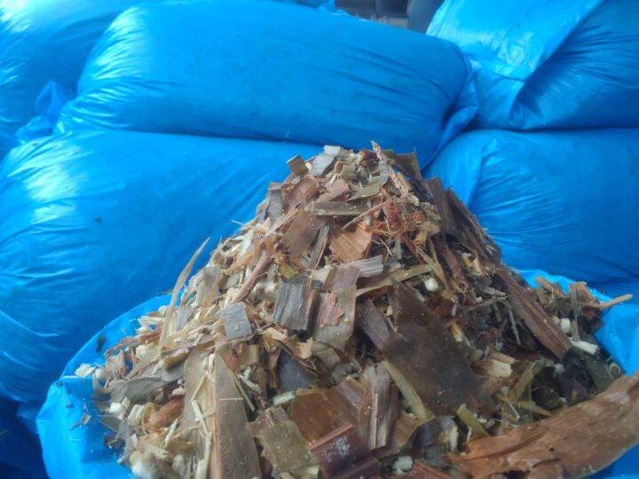 SILAJ NAPIER 25 KG | Lazada