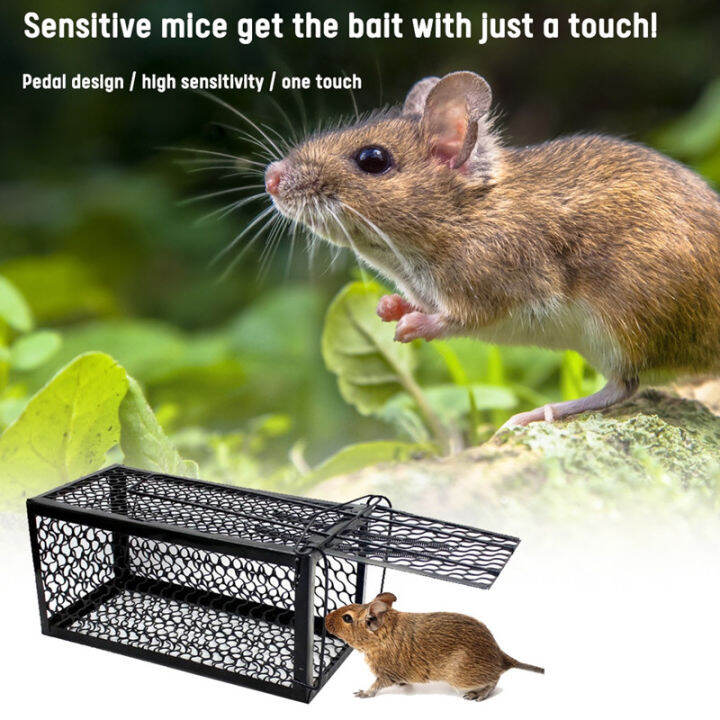 The largest Mouse Trapper Control Catch Bait Rat Cage Mice about ...