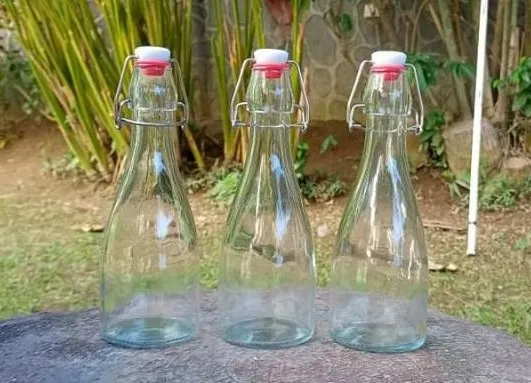 SWING TOP EASY CAP BOTTLE 350ML | Lazada PH