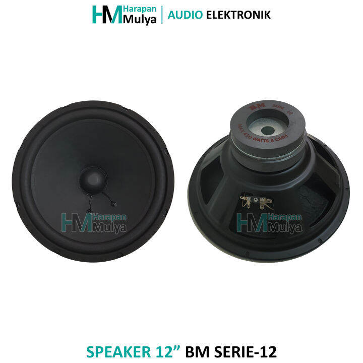 BM SERIE-12 Speaker Subwoofer 12" / Spiker 12 inch Double Magnet | Lazada Indonesia