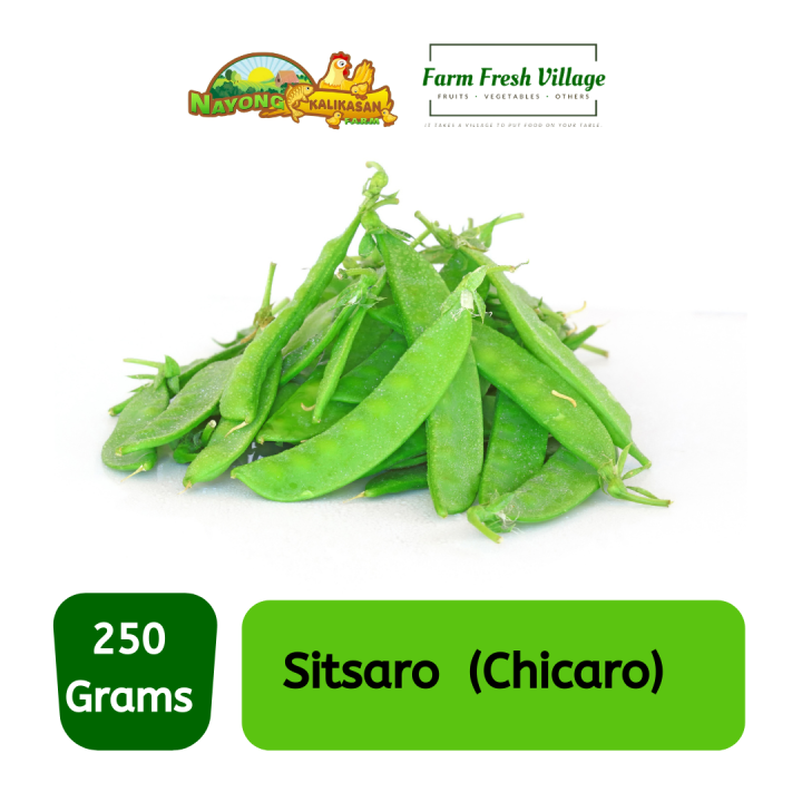 FARM FRESH VILLAGE - Sitsaro (Chicharo) 100 grams | Lazada PH