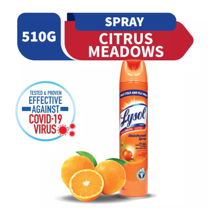 LYSOL Disinfectant Spray (Citrus Meadows Scent) 510g | Lazada PH
