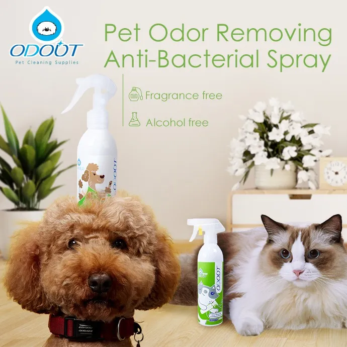 Odout Odor Removing Antibacterial Spray for Dog 500ml (Neutralizing ...