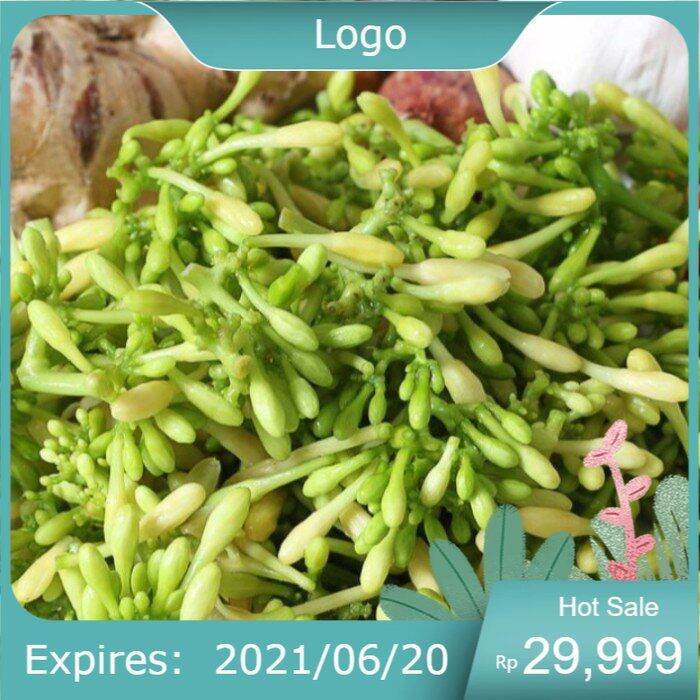 sayur bunga pepaya segar-kembang pepaya segar 1/4 kg-250 Gram | Lazada ...