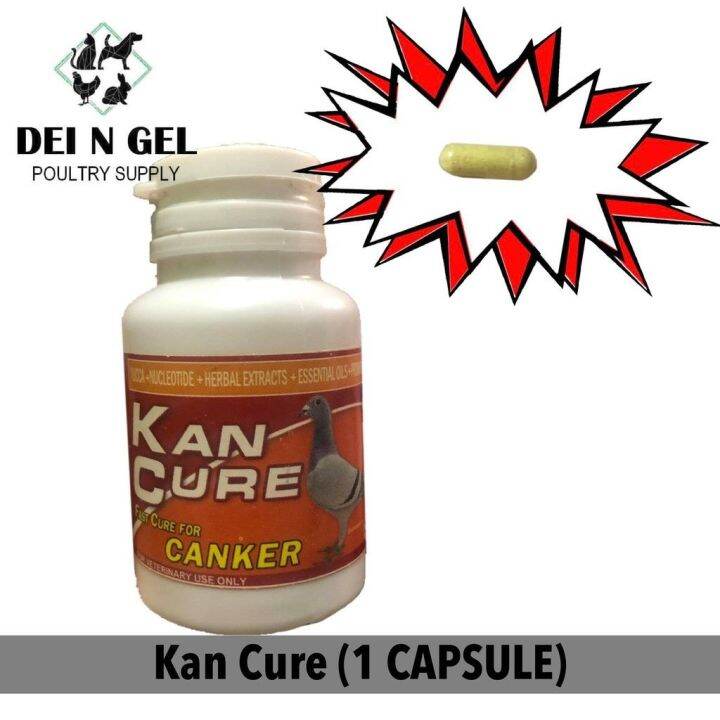 Kan Cure (1 Capsule) | Lazada PH
