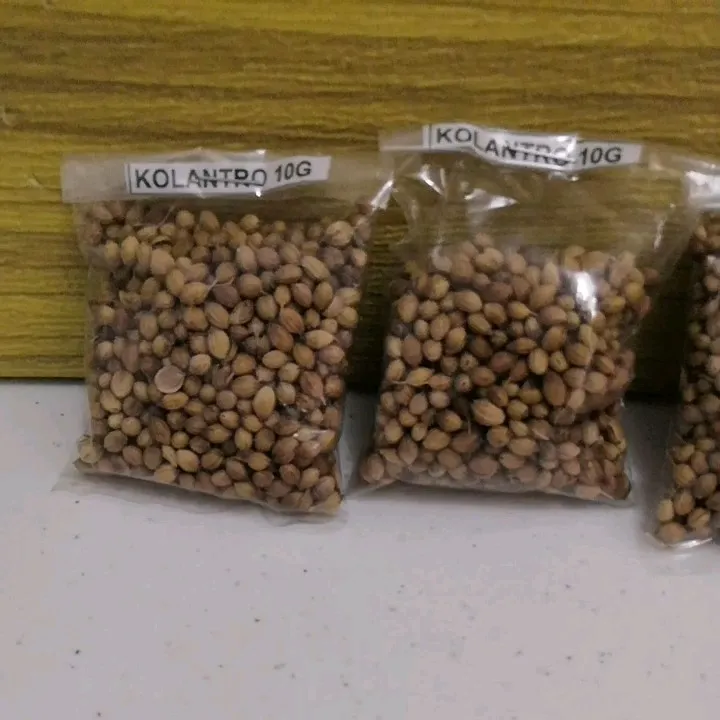 Kolantro Seeds (10grams) For Bulutong (per pc) | Lazada PH