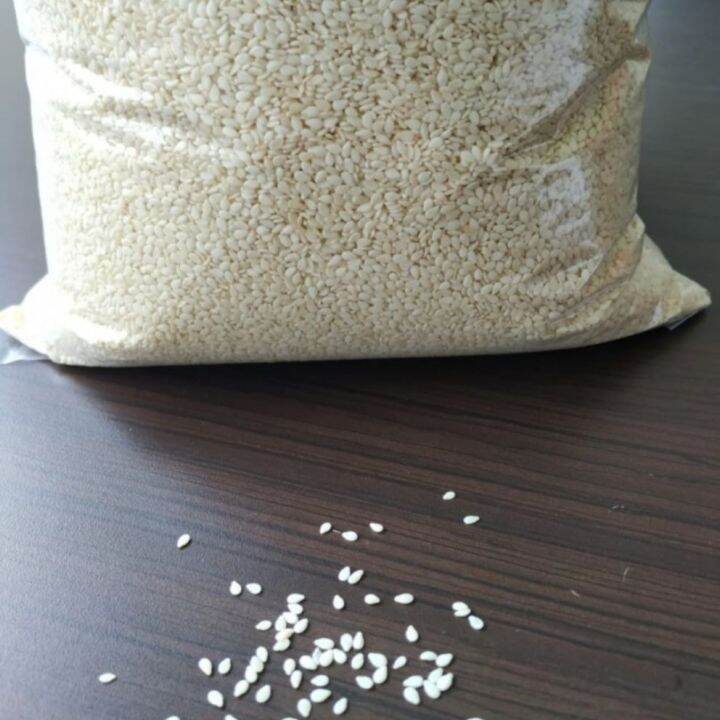 Biji Wijen putih uk. 5kg | Lazada Indonesia