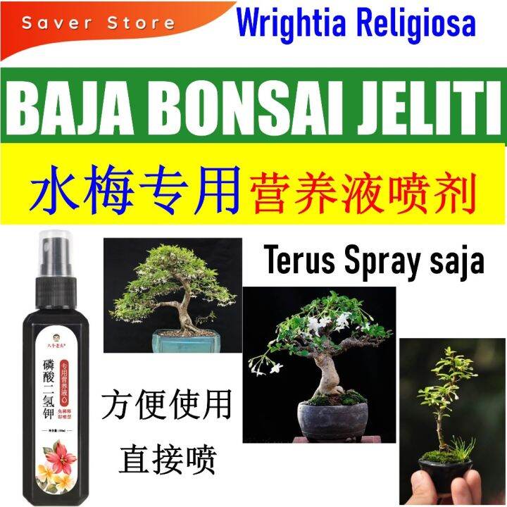 Baja Bonsai Jeliti Wrightia Religiosa WATER JASMINE Fertilizer 水梅专用肥 ...