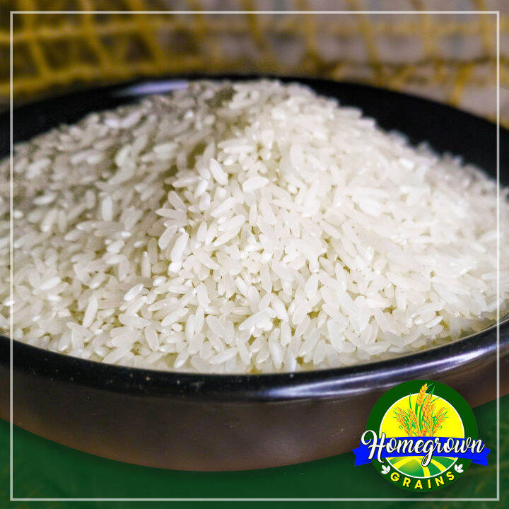 Premium Rice 10 kgs | Lazada PH