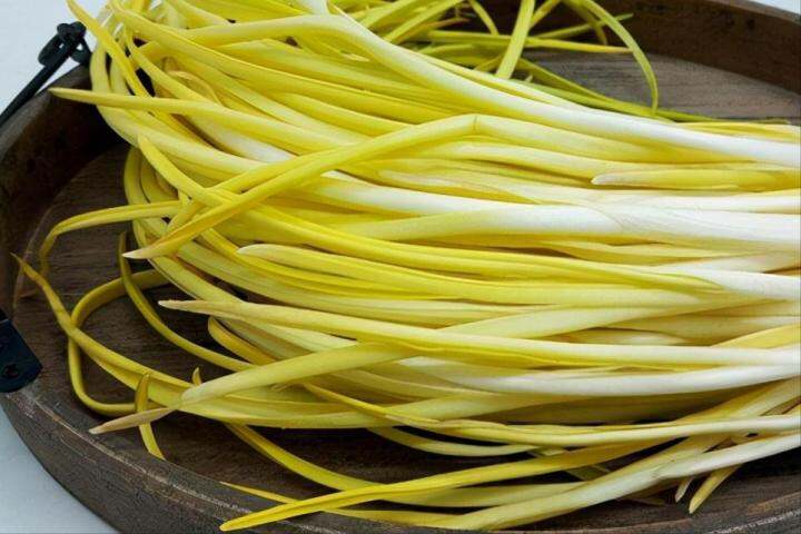 Premium Pack Yellow Chinese Chives Kuchay Vegetable Seeds 50Grams ...