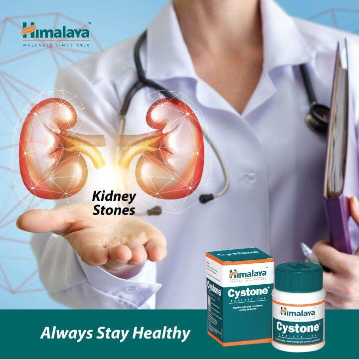 HIMALAYA CYSTONE TABLETS | Lazada