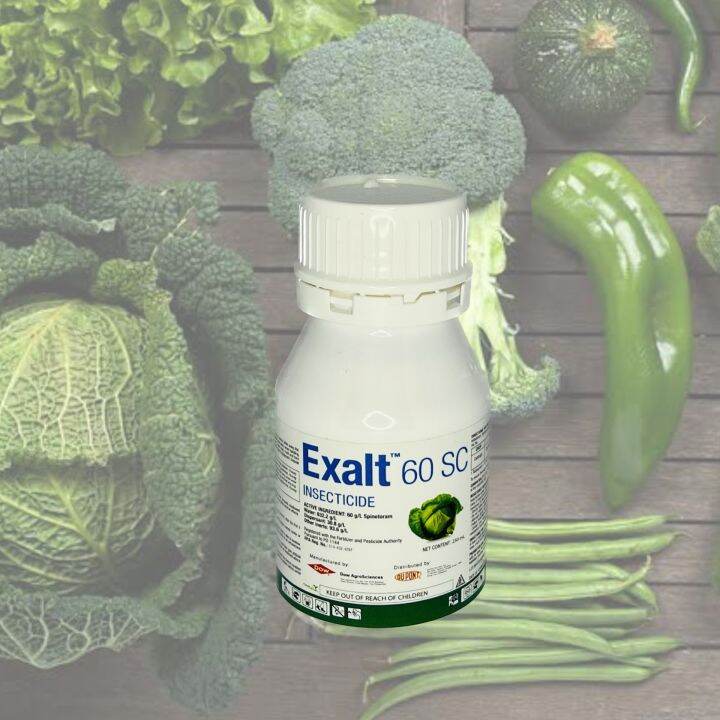 Exalt 60 SC insecticide 250mL | Lazada PH