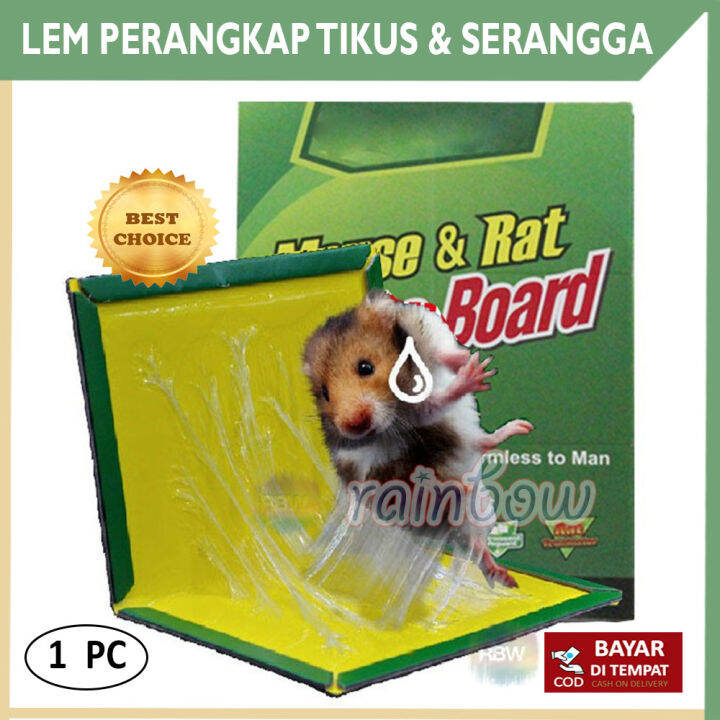 rainbow 1 PC Lem Tikus Papan Jebakan Tikus Perangkap Tikus Buku Mouse ...