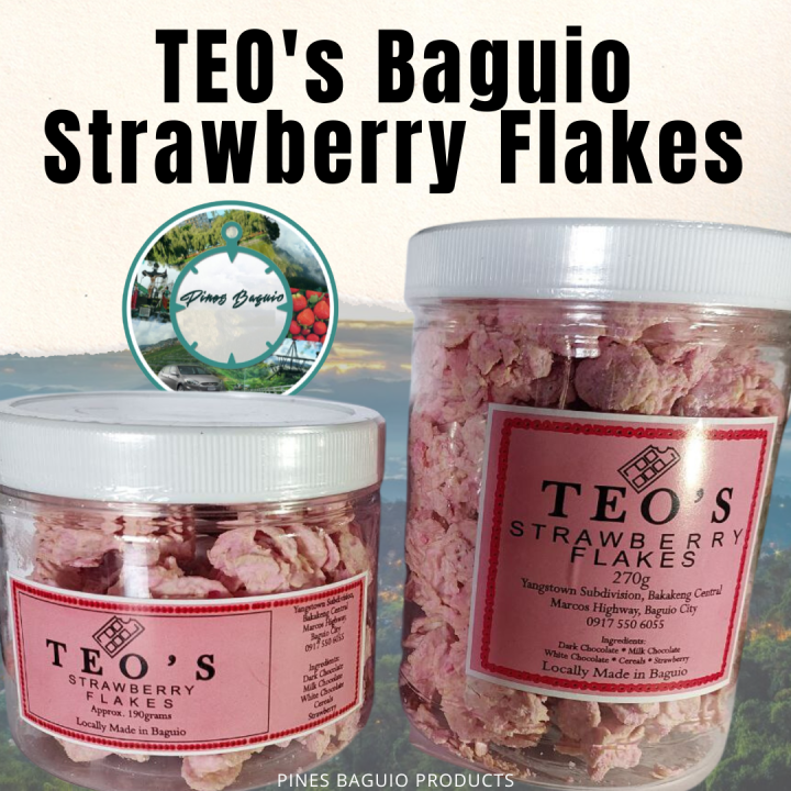 Teo's Strawberry Flakes - Baguio Pasalubong | Lazada PH