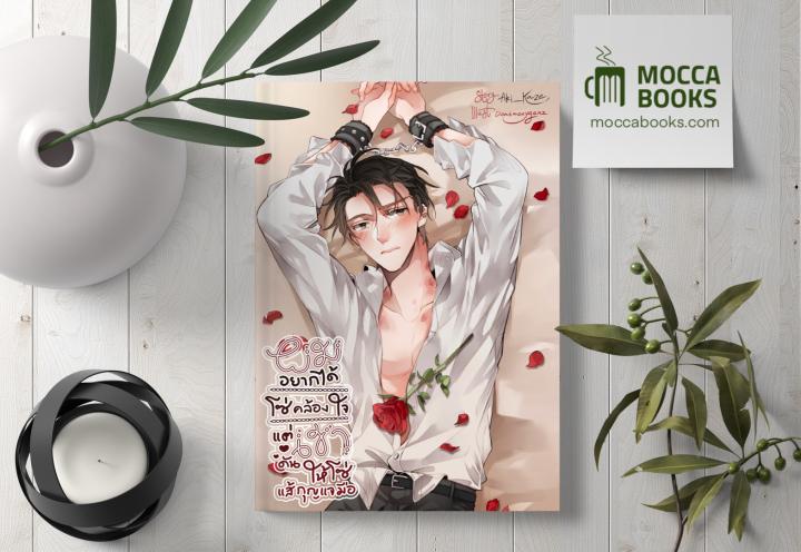 [BL] ผมอยากได้โซ่คล้องใจ แต่เขาดันให้โซ่ แส้ กุญแจมือ : Aki_Kaze | Lazada.co.th