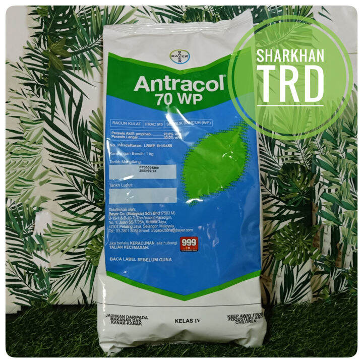 Paket 1kg ANTRACOL 70 WP Bayer Racun Kulat Serbuk Bancuh Wettable ...