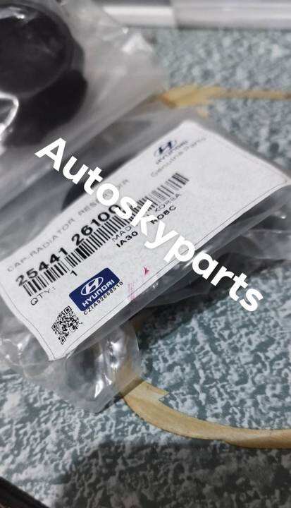 Radiator Tank Reservoir Cap with Gasket Hyundai GETZ/i10/Matrix/Eon ...