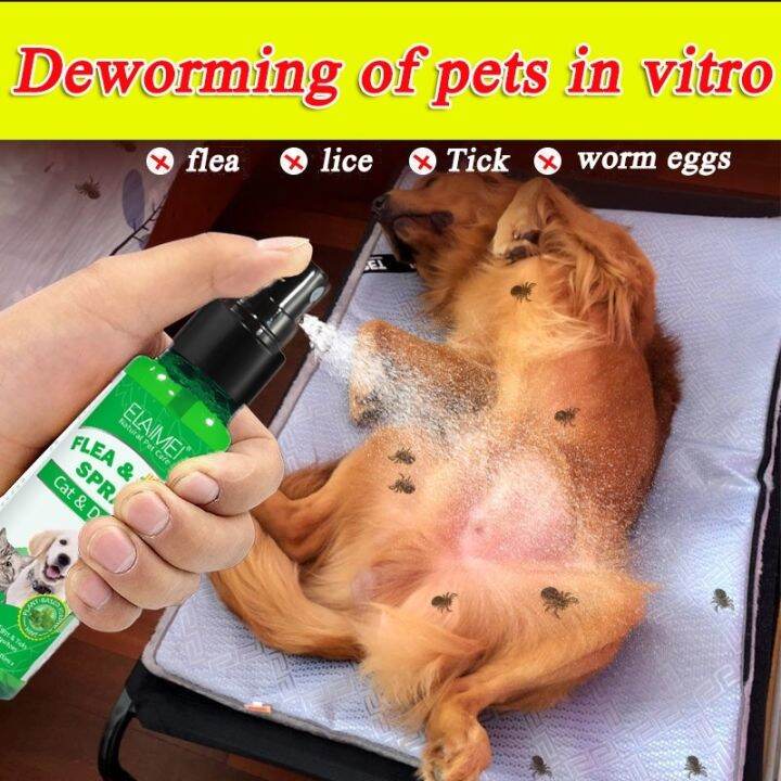 Elaimei 100ml vet core tick and flea spray Tick and Flea Spray ...