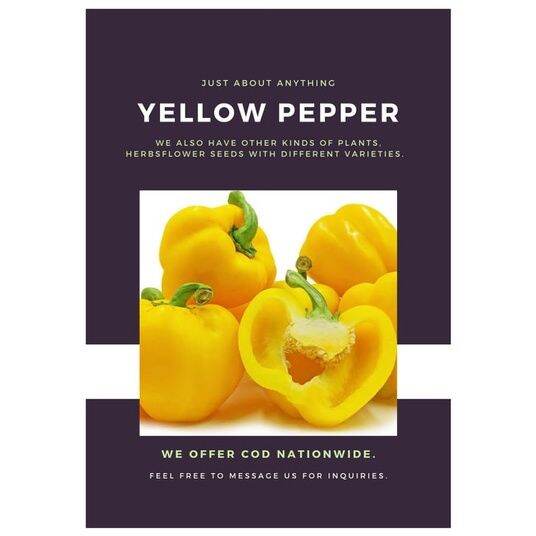 50 Seeds (buy 2 get 1 free) Yellow Pep For Planting for Sale Easy To ...