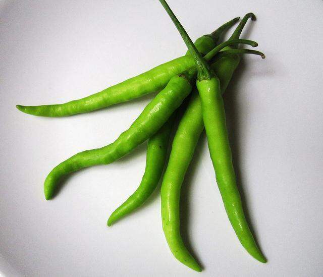 Hot Pepper Green/Bicol Express Chili Seeds are easy to grow | Lazada PH