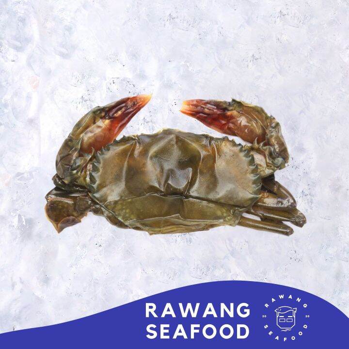 READY STOCK Soft Shell Crab / Ketam Shell Lembut / 软壳蟹 (1kg/pack ...