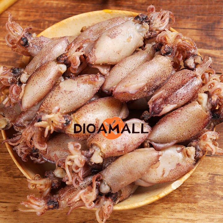 (DIOA MALL) Dried Seafood, Small Sea Hare 500g, Premium Full-seed ...