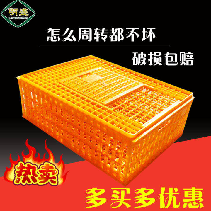 Plastic cages transport chicken baskets and chicken frames into chicken ...