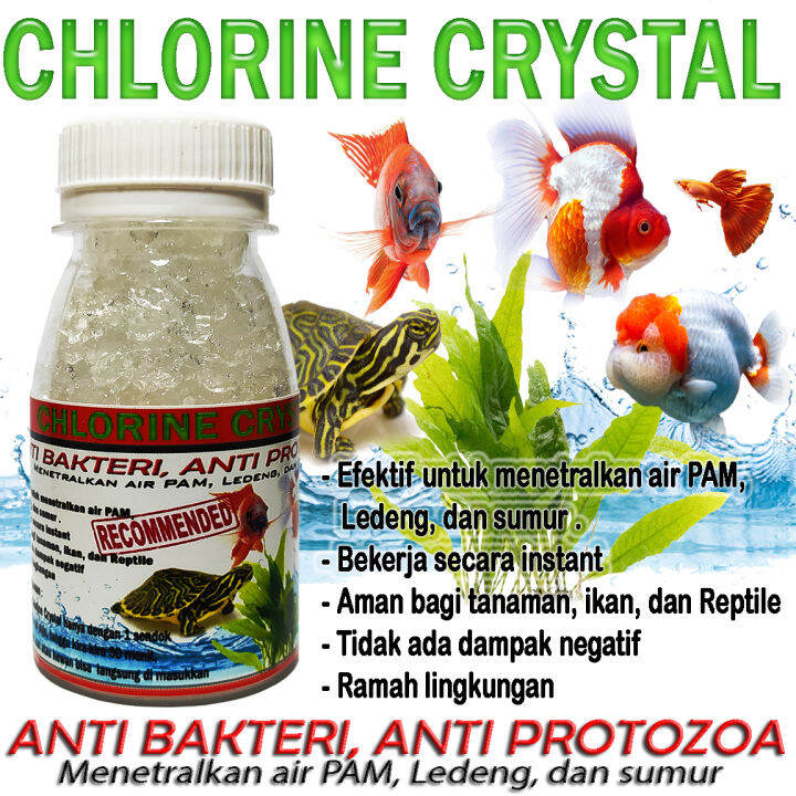 ANTI CHLORINE CLORIN KLORIN KRISTAL CRYSTAL ANTI BACTERI BAKTERI FUNGUS ...