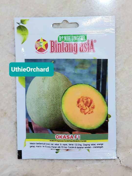 Benih Bintang Asia - Rock Melon Okasa F1 Kemasan 0,5 gr | Lazada Indonesia