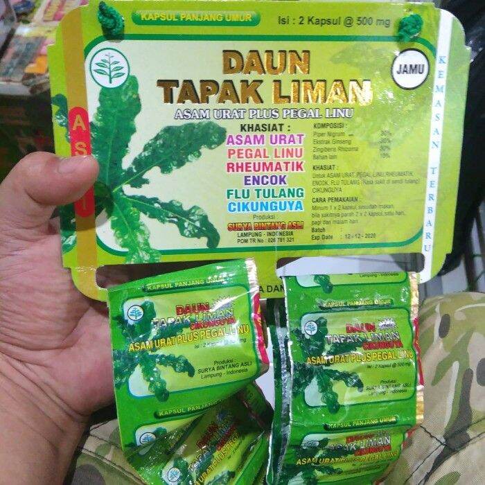 Kapsul Daun Tapak Liman Original untuk Asam Urat dan Pegal Linu ...