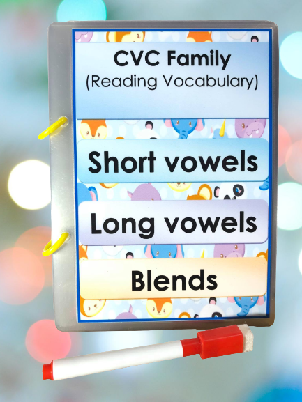 Flashcards for kids CVC Family / Short AEIOU / Long AEIOU / Blended ...