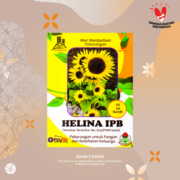 (1 PACK) Benih Bunga Matahari Helina IPB Sunflower Seeds - IPB Retail Pack - 50 Biji | Lazada ...