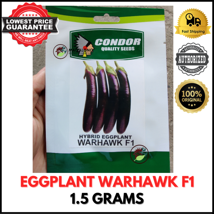 CONDOR SEEDS - EGGPLANT SEEDS - WARHAWK F1 HYBRID 1.5 Grams | Lazada PH