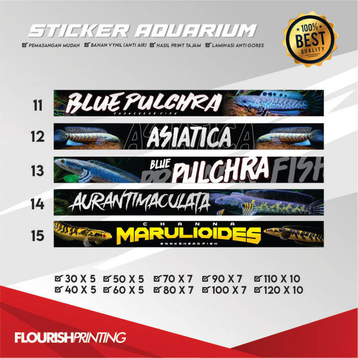 STICKER AQUARIUM PREDATOR CHANNA | Lazada Indonesia