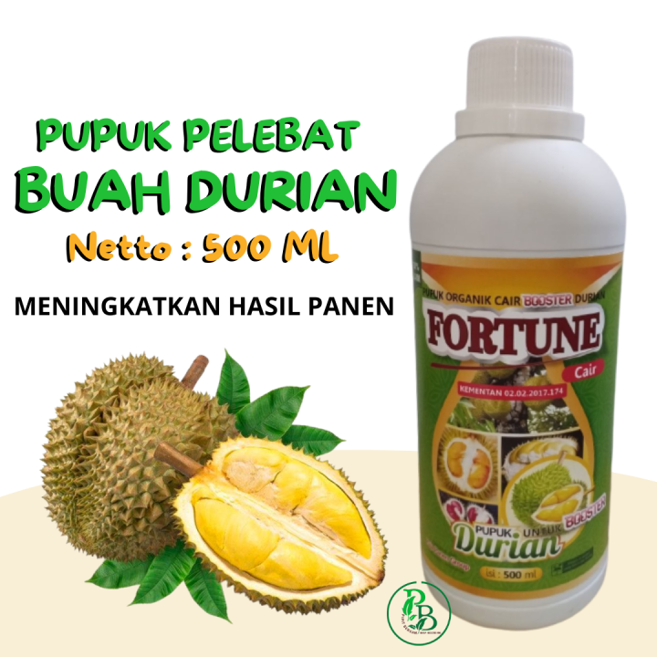 Pupuk Durian Musang King Cepat Besar Dan Berbuah, Booster Buah Durian Montong Anti Rontok Yang ...