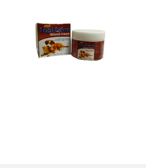 Topi-Derm Wound Cream 20g | Lazada PH