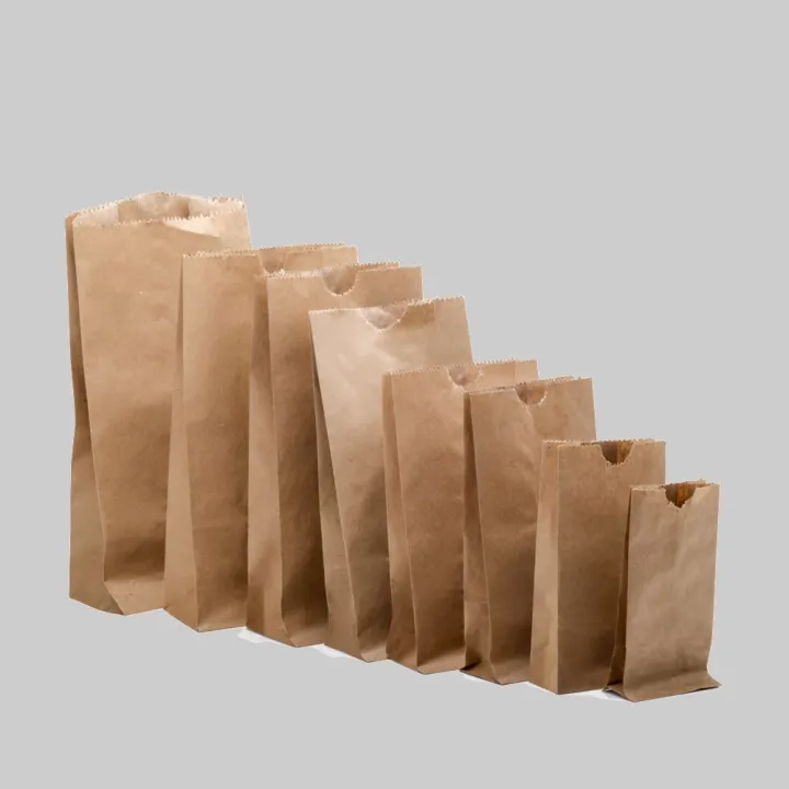 Kraft Plain Brown Paper Bag - 100 Pcs. per bundle | Lazada PH