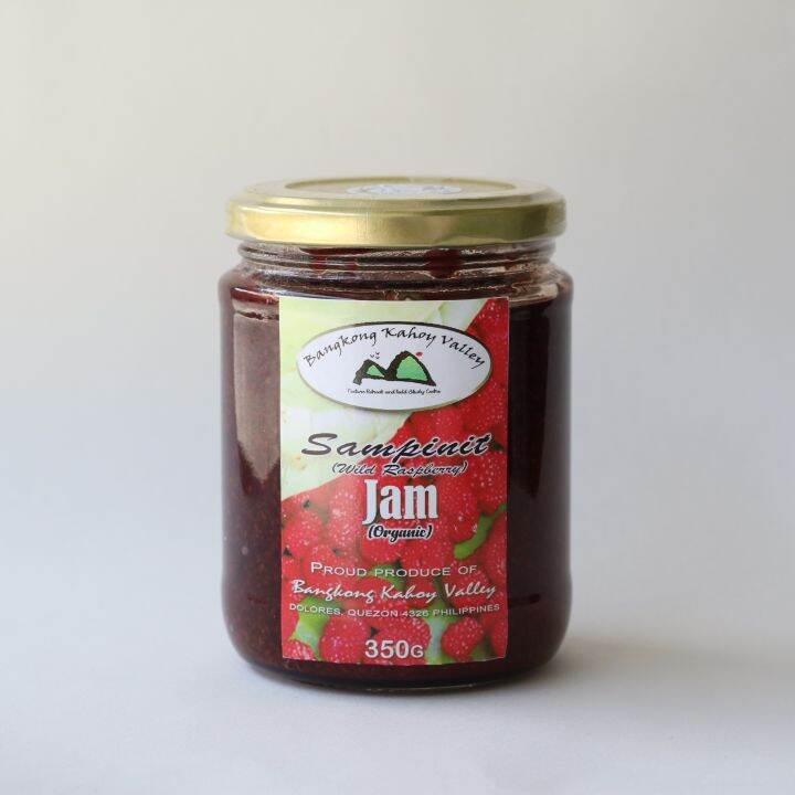 Sampinit (Wild Raspberry) Jam 350g | Lazada PH
