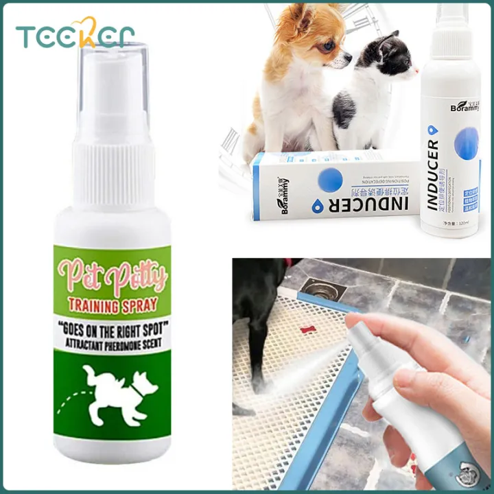 Teeker Pet Potty Training Spray Pets Positioning Defecation Inducer ...