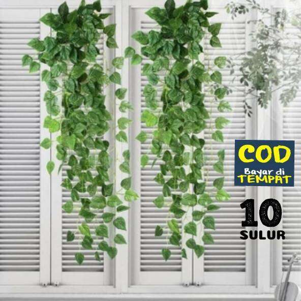 DAUN RAMBAT ( 10 SULUR atau 10 METER ) PLASTIK ARTIFICIAL ARTIFISIAL ...