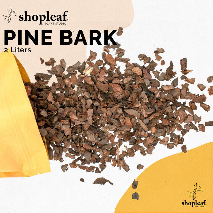 Shopleaf Pine Bark Substrate | Lazada PH