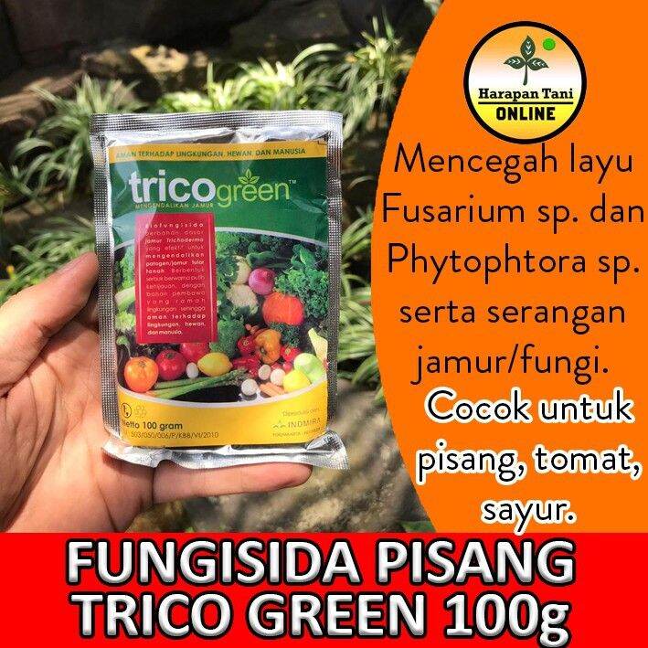 Trico Green 100g | Trico G 100g | Tricogreen | Trichoderma | Fungisida ...