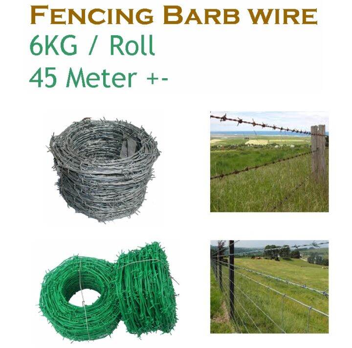 G.I Barbed Wire 6kg / Pvc Barbed Wire Dawai Kawat Duri 6kg | Lazada