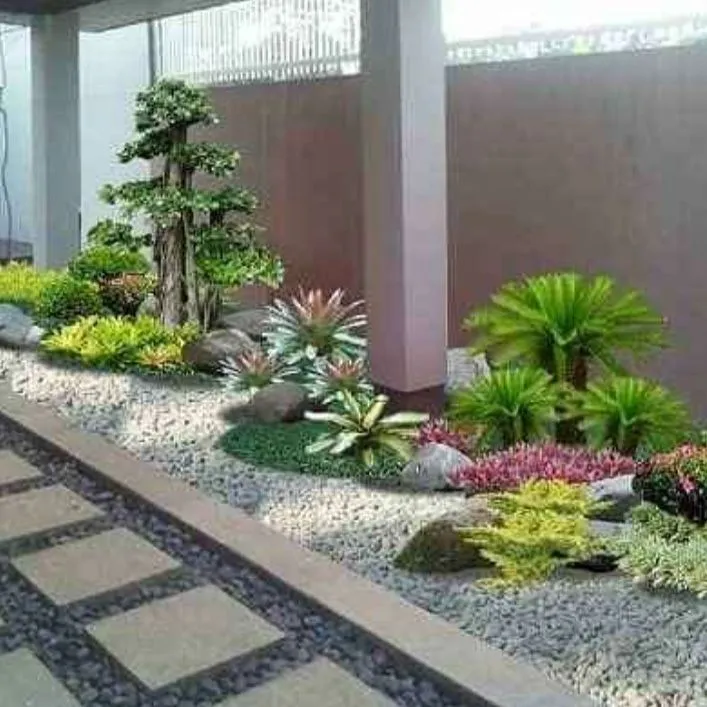 BATU KORAL PUTIH UNTUK HAMPARAN TAMAN | Lazada Indonesia