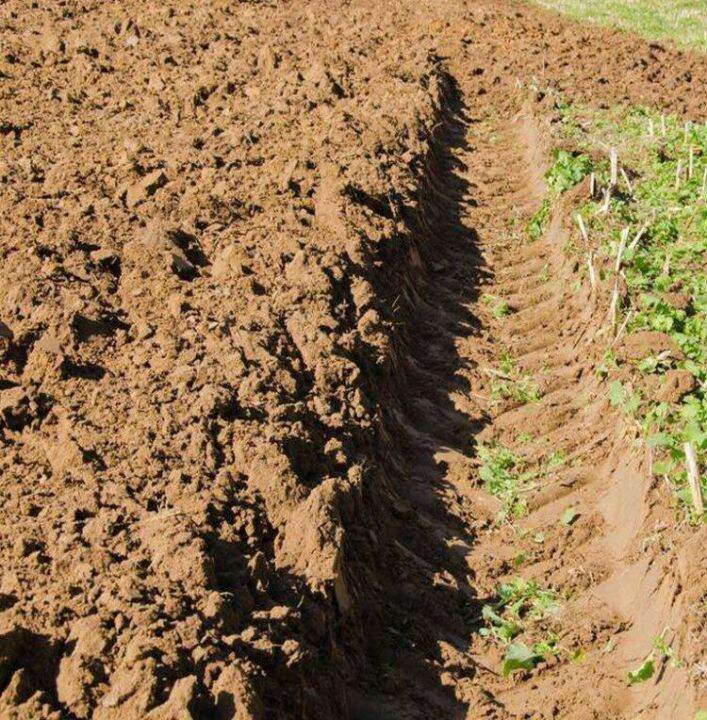 Soil planting soil, high-quality pastoral soil, natural soil ...