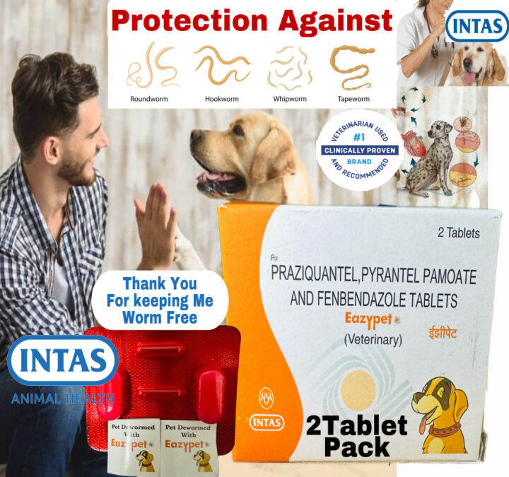 Intas Eazypet Dewormer 2Tablet Pack | Lazada PH